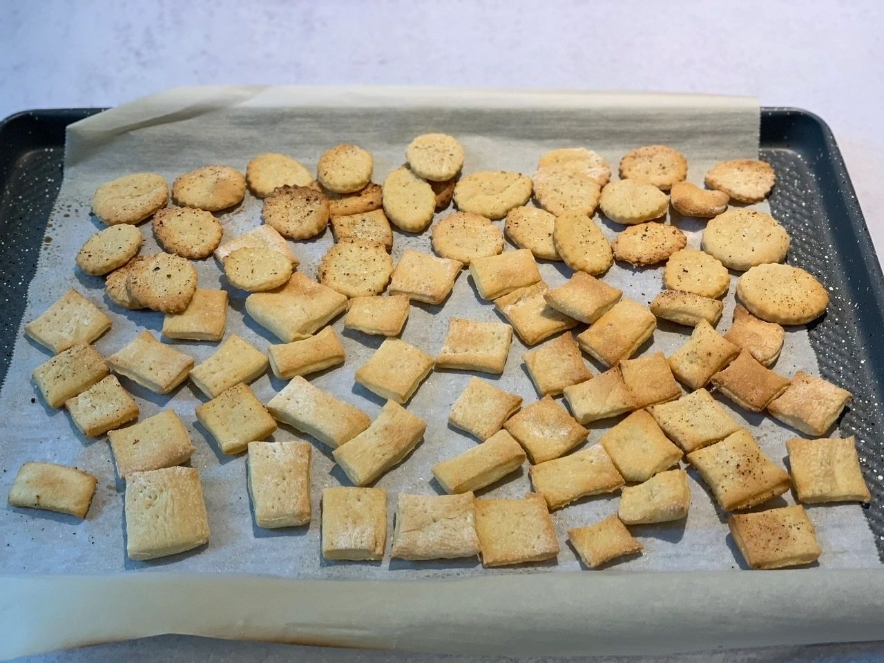 Homemade Soda Crackers - Treks & Bites ®️