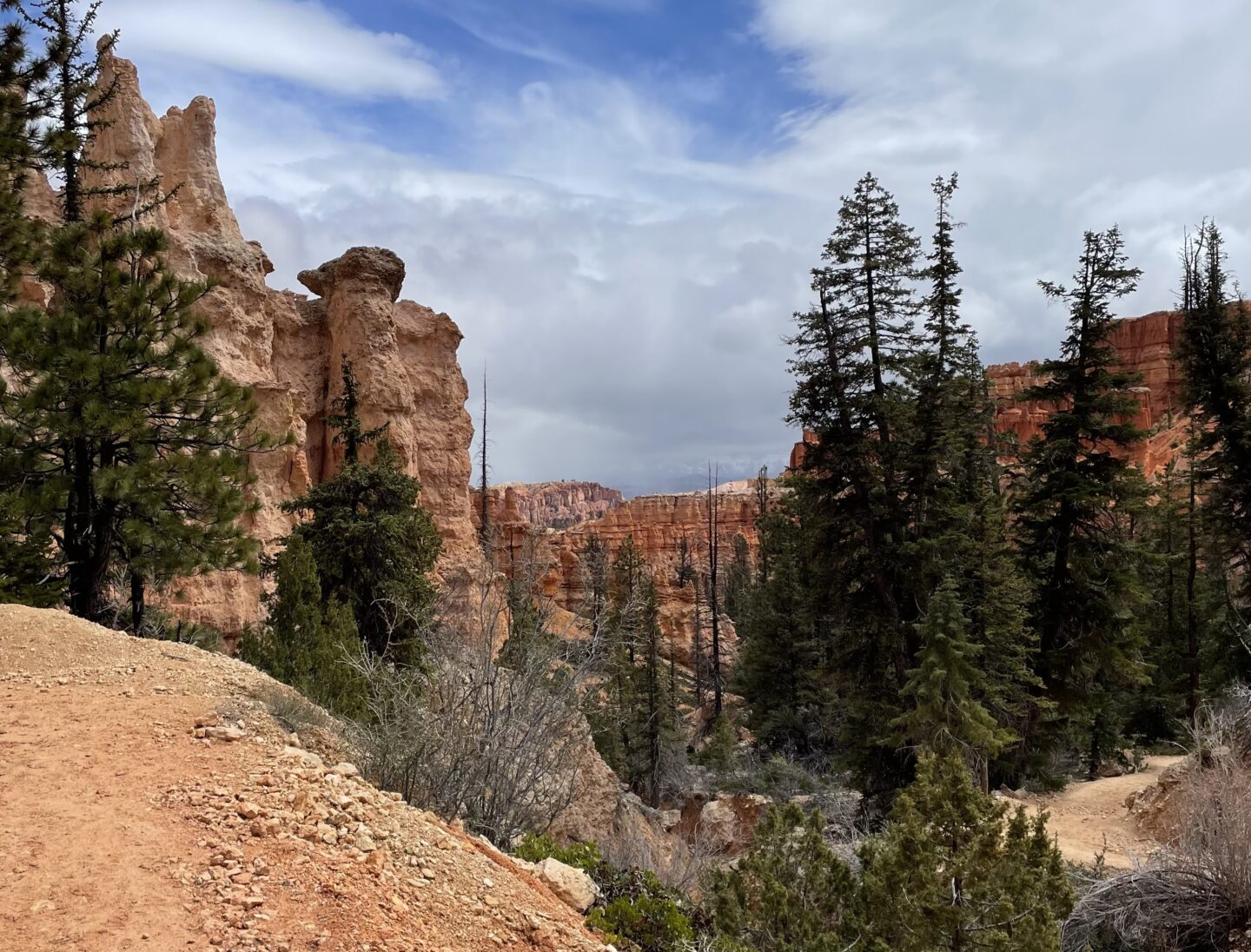 A Spectacular Day in Bryce Canyon National Park - Treks & Bites ®️