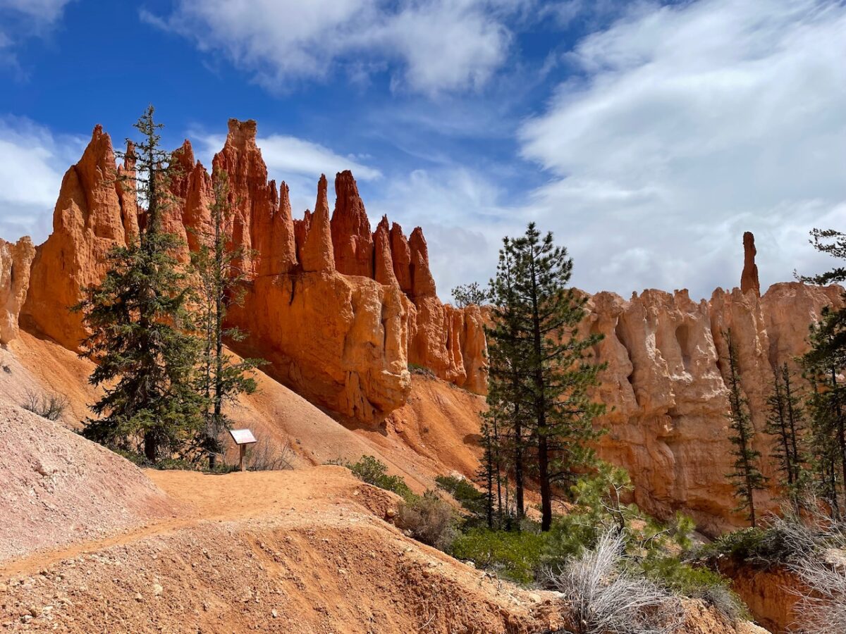 A Spectacular Day in Bryce Canyon National Park - Treks & Bites ®️