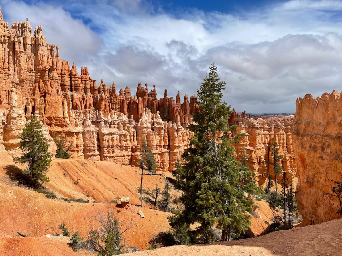 A Spectacular Day in Bryce Canyon National Park - Treks & Bites ®️