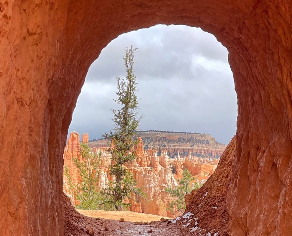 A Spectacular Day in Bryce Canyon National Park - Treks & Bites ®️