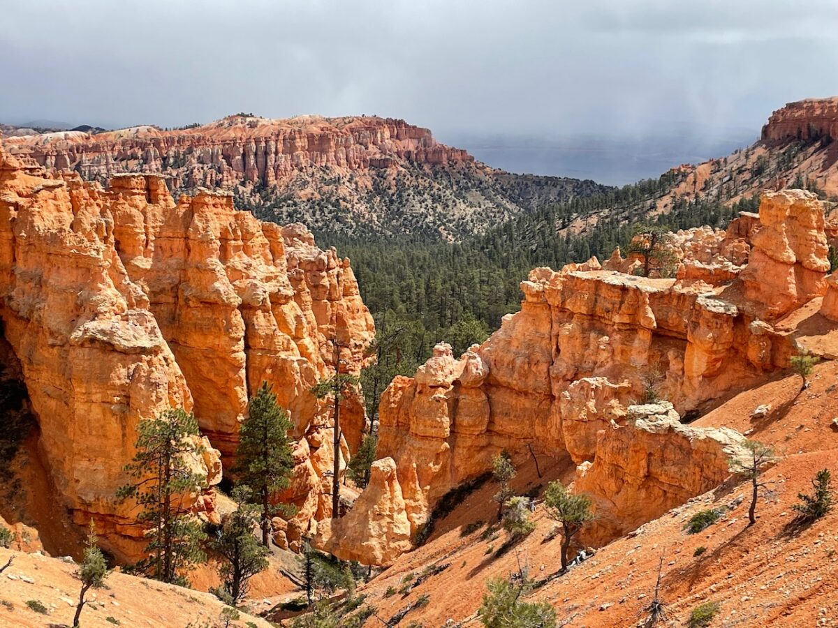 A Spectacular Day in Bryce Canyon National Park - Treks & Bites ®️